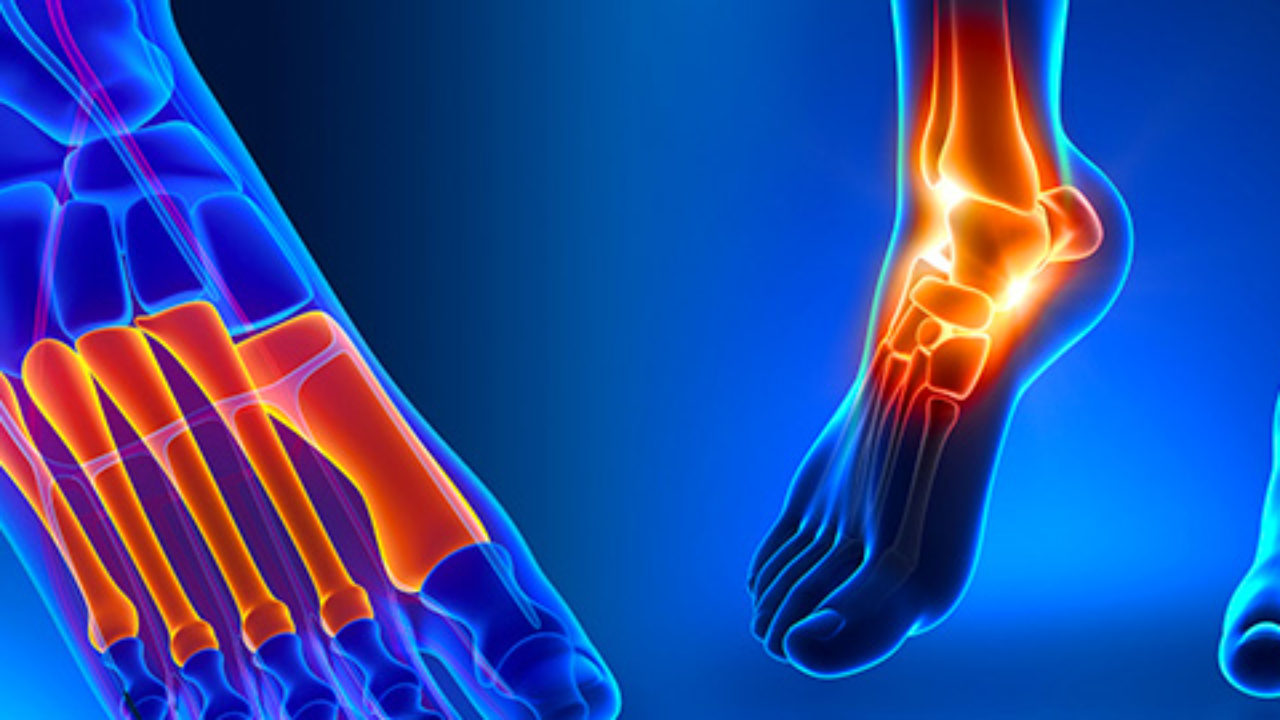 Ligamentos Anatomia Do Pe