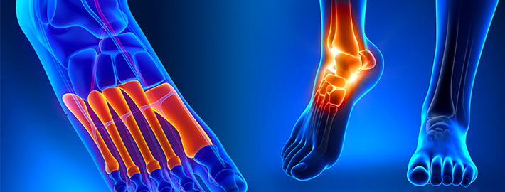 Anatomia do pé - Dr. Rafael Barban